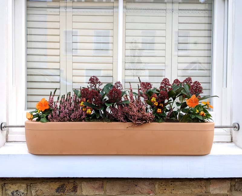 Window Fleur: Beautifully Planted Seasonal Window Boxes