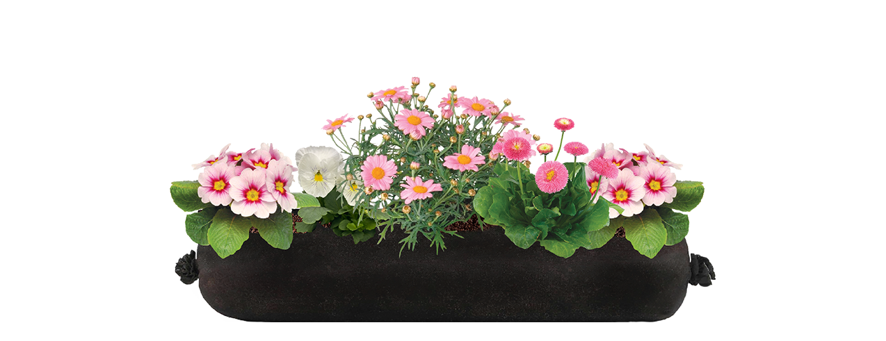 Open media 2 in modal